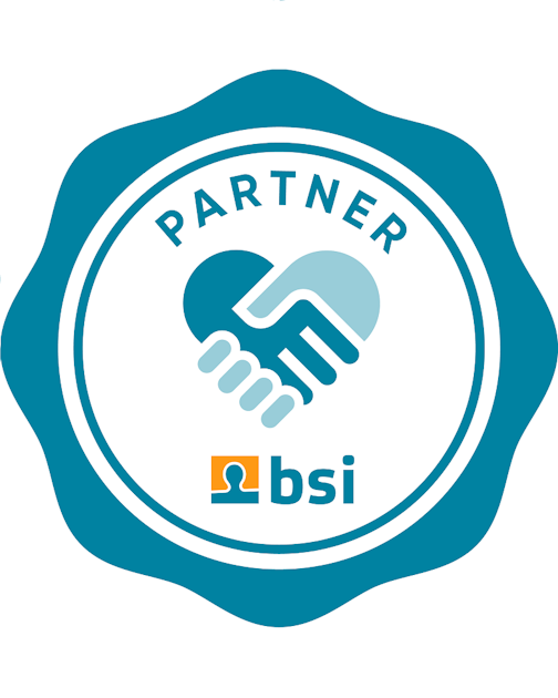 BSI | Our Partner Network